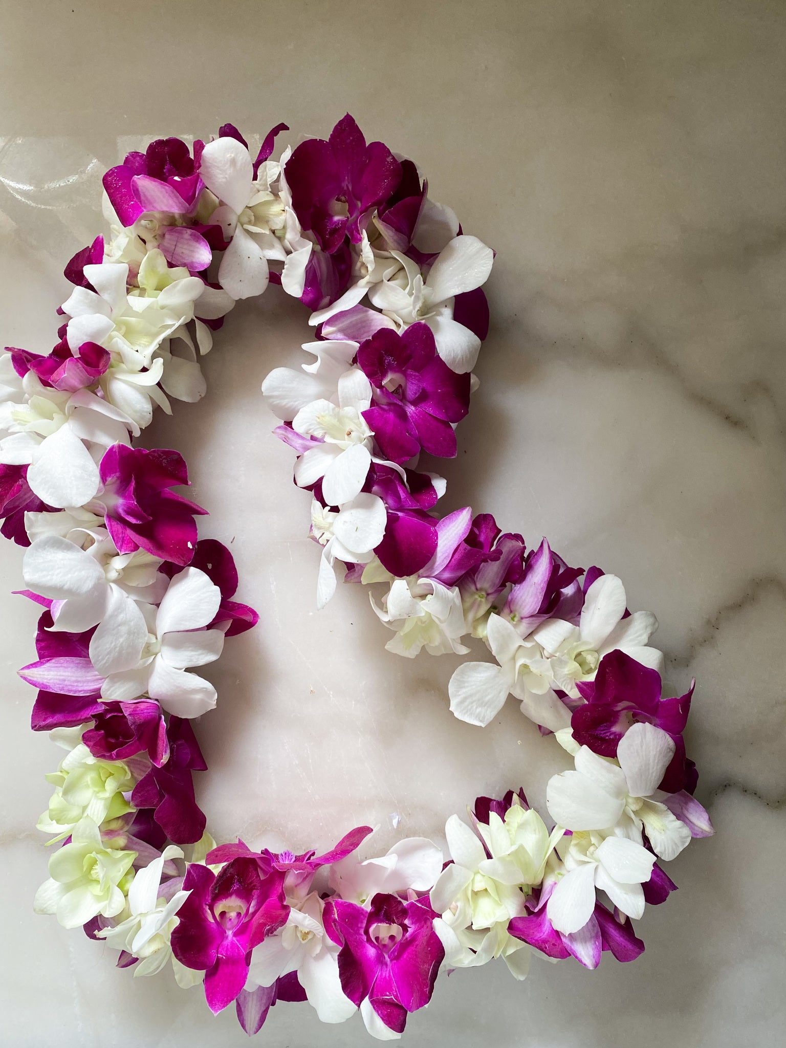 The Absolute Best Graduation Lei's – Arianna Floral Design
